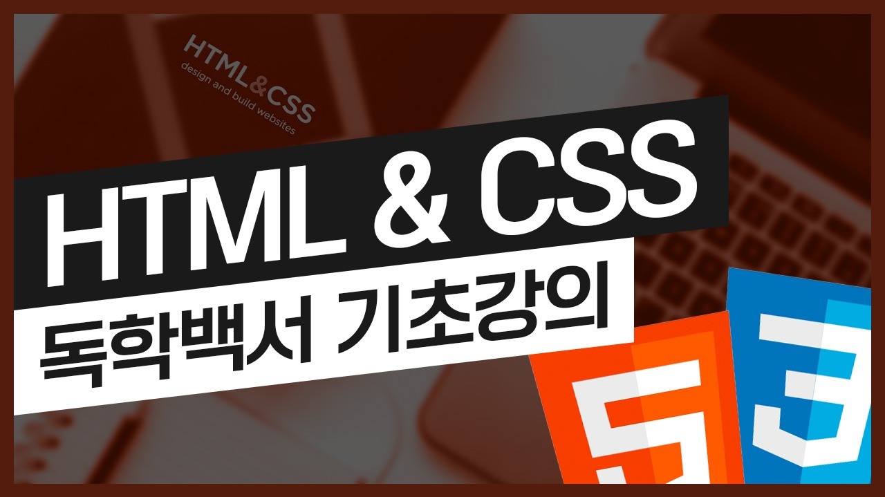 Html And Css 기초 강의 돌핀코딩